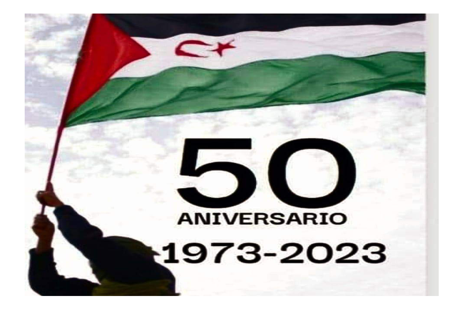 50 años de Frente Polisario: medio siglo de lucha por la ...